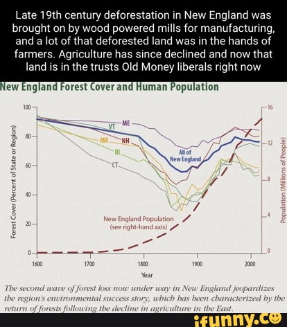 Late 19th century deforestation in New England was brought on by wood ...