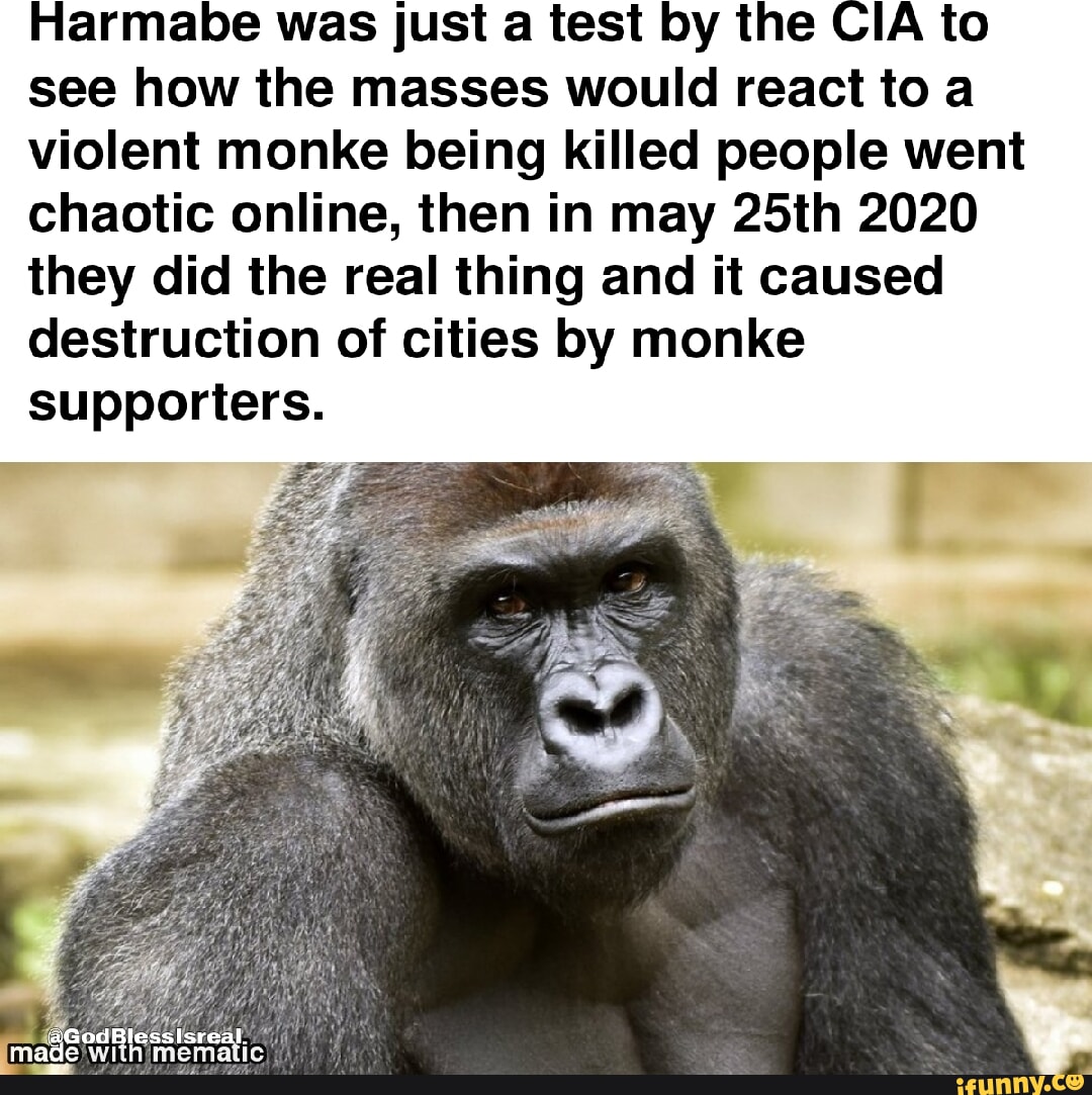 Cia memes. Best Collection of funny Cia pictures on iFunny