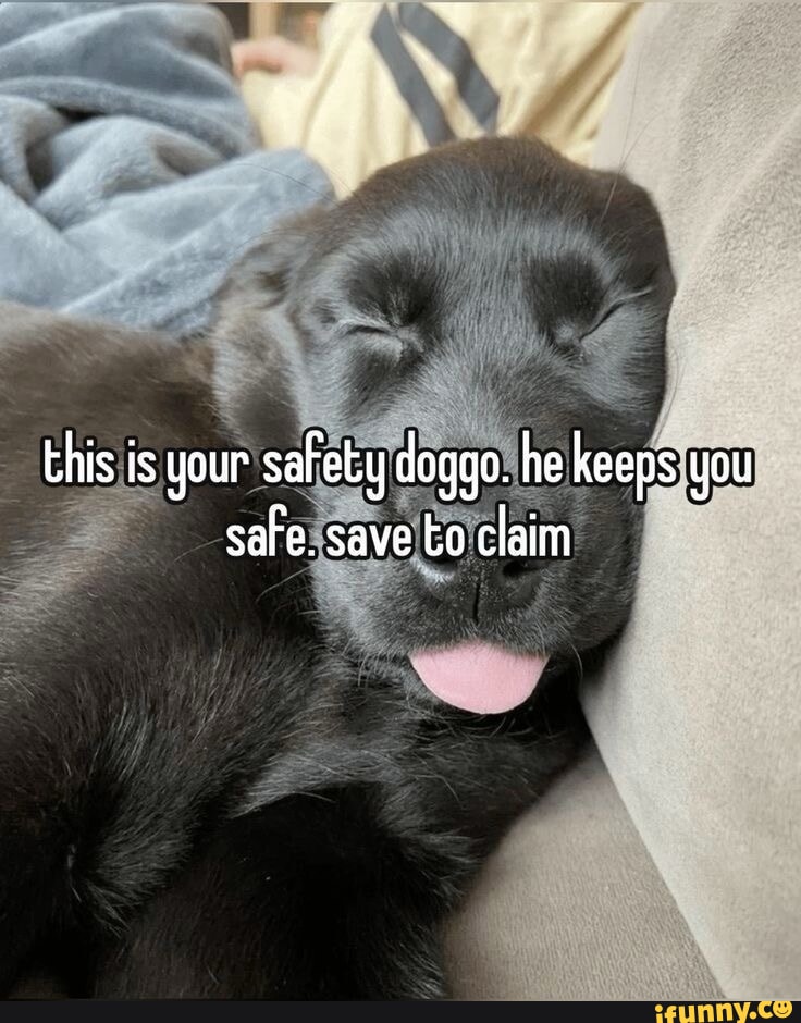 This is your safety doggo. he keeps you safe. save to claim - iFunny