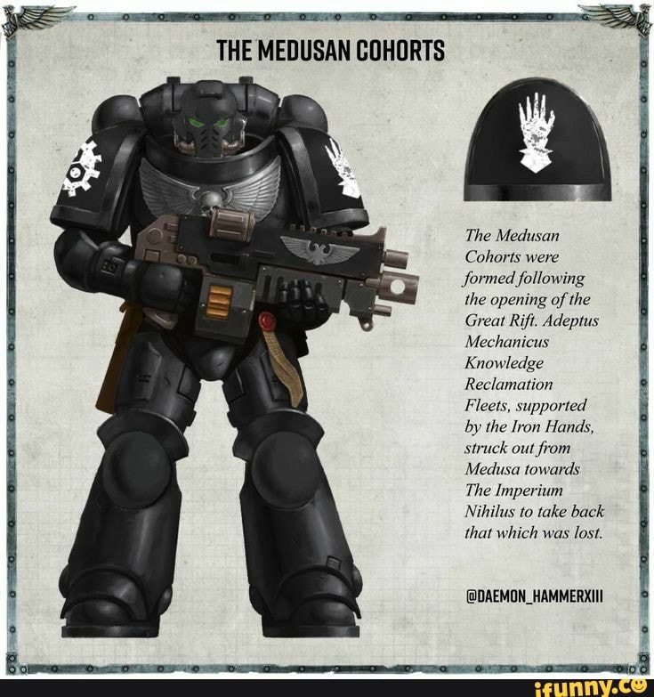 THE MEDUSAN COHORTS The Medusan Cohorts were formed following the ...