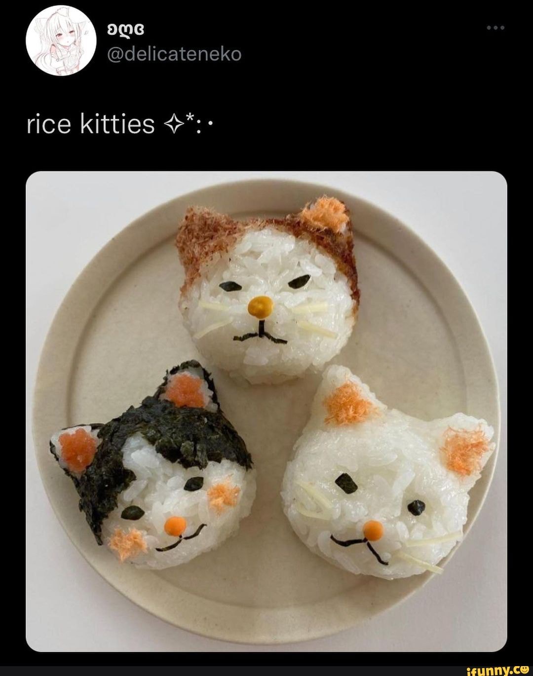 Today is weird - Sandy - - #meme#memes - rice kitties - iFunny