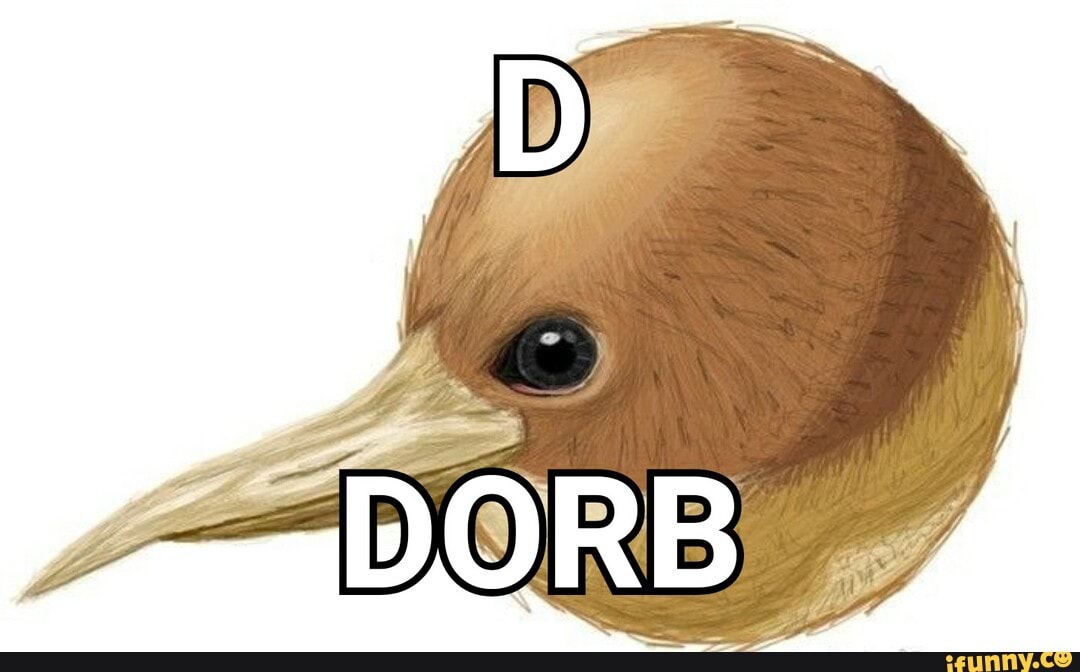 Dorb memes. Best Collection of funny Dorb pictures on iFunny