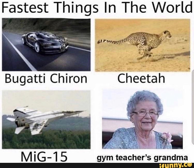 Fastest Things In The World Bugatti Chiron Cheetaln - iFunny