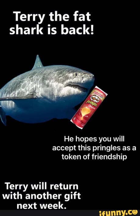 Terry the fat shark is back! He hopes you will accept this pringles as ...
