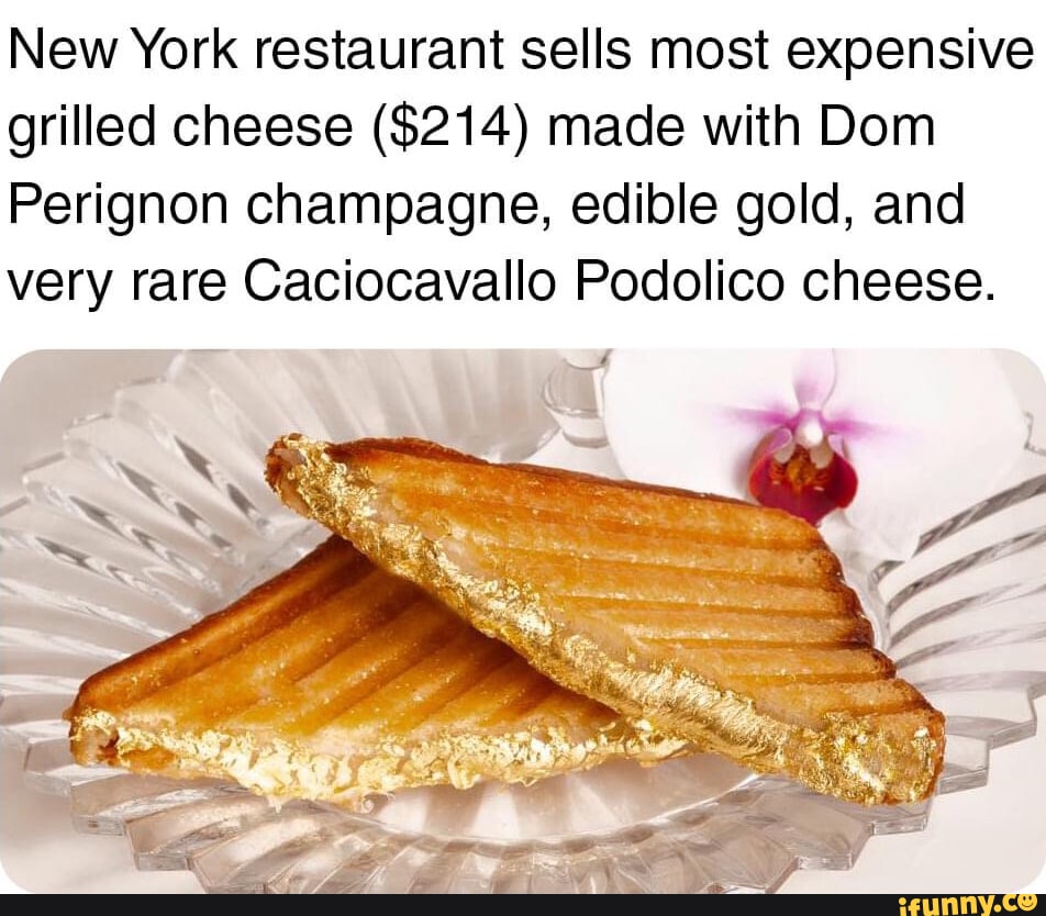 Champagne memes. Best Collection of funny Champagne pictures on iFunny