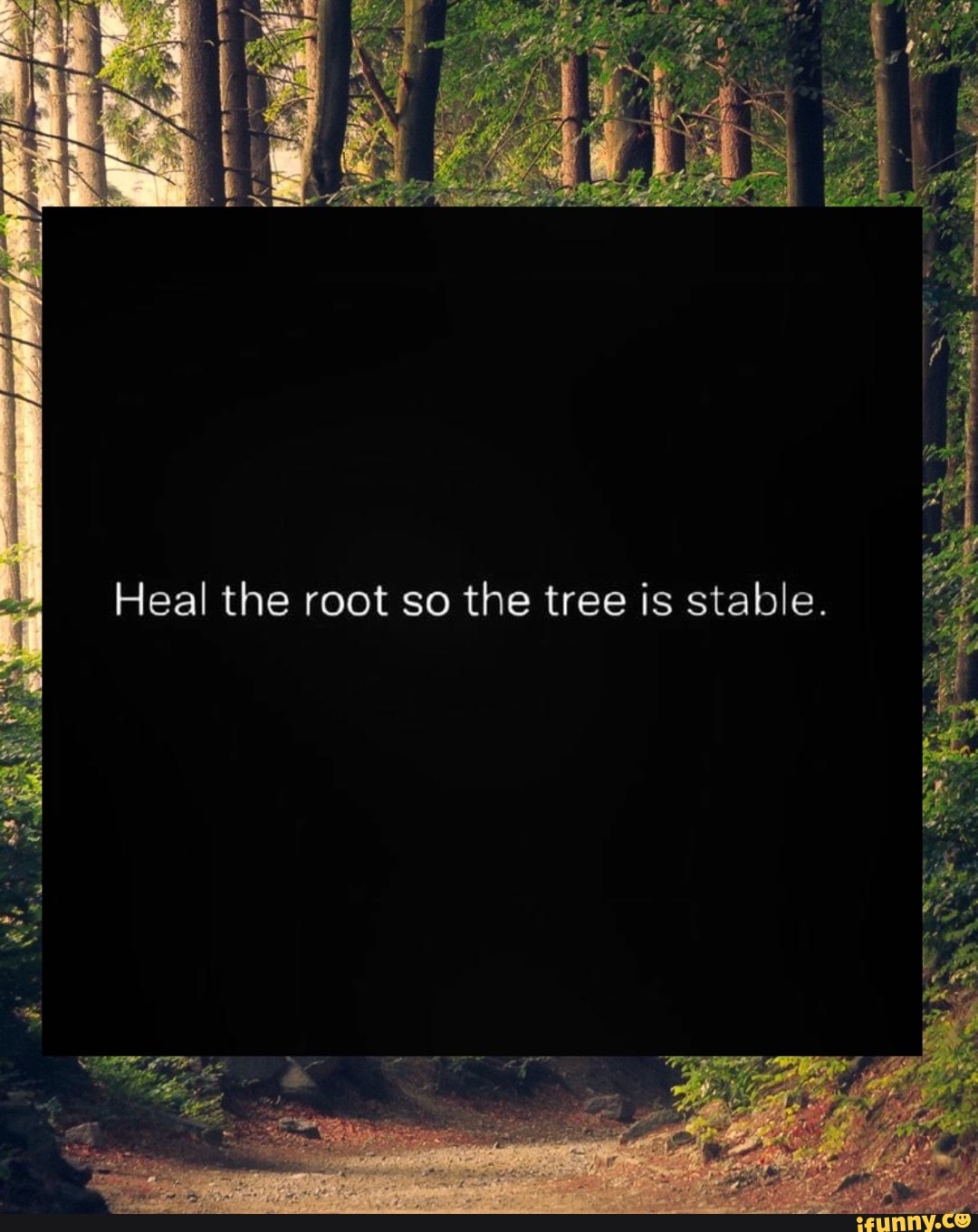 Heal the root so the tree is stable. - iFunny