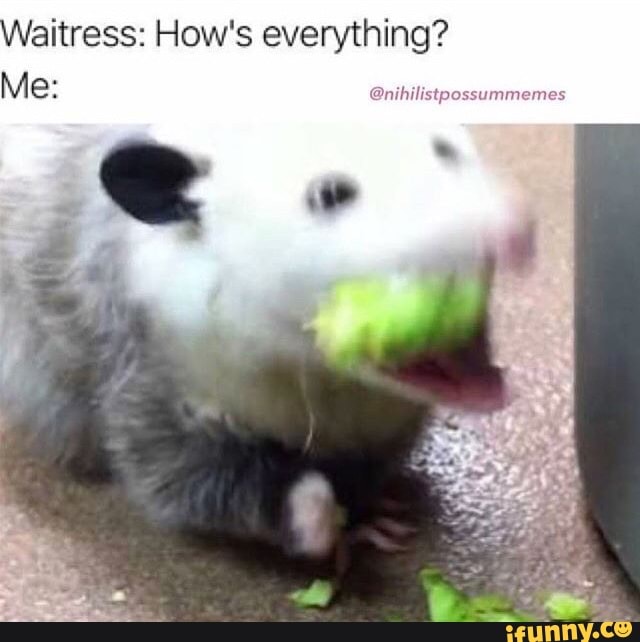 Waitress Hows Everything Mei Ifunny