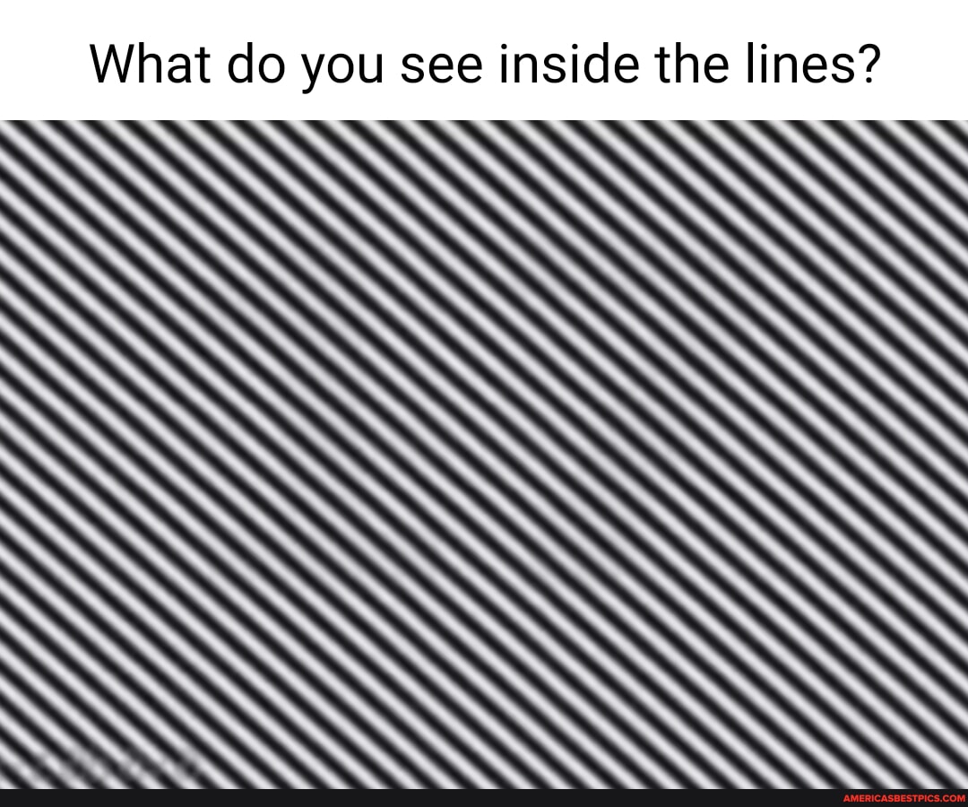 What do you see inside the lines? SSS SS SS SS SSEEEESSSSS A AN ...