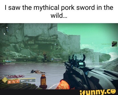 I saw the mythical pork sword in the wild... - iFunny