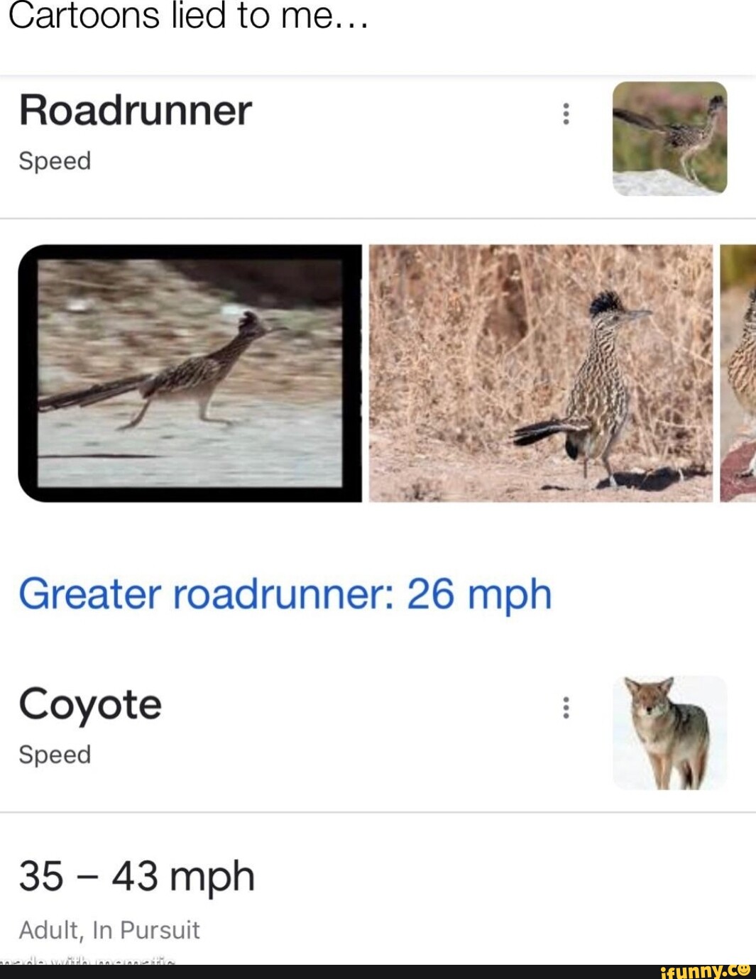 Cartoons lied to me... Roadrunner Speed Greater roadrunner: 26 mph ...
