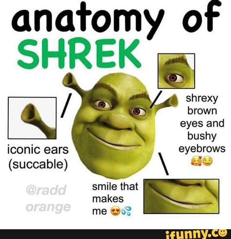 Shrexy memes. Best Collection of funny Shrexy pictures on iFunny