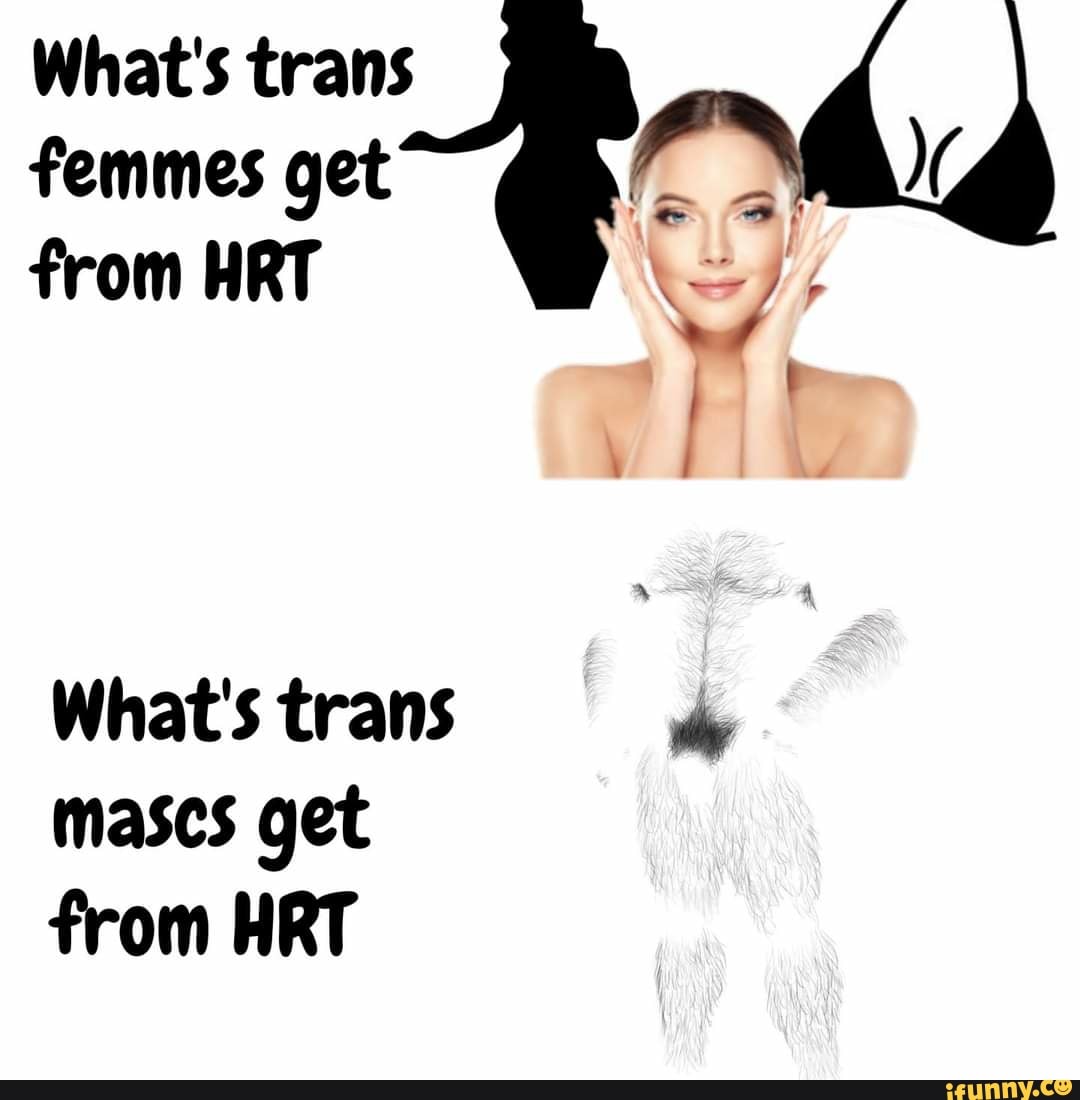 Hrt memes. Best Collection of funny Hrt pictures on iFunny