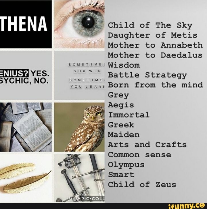 Metis memes. Best Collection of funny Metis pictures on iFunny