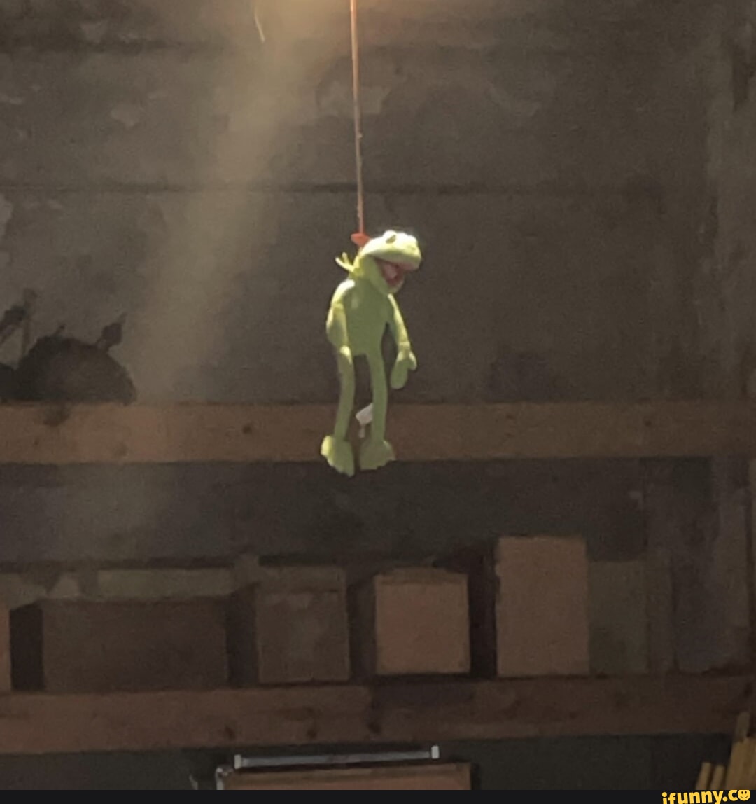 Kermit memes. Best Collection of funny Kermit pictures on iFunny