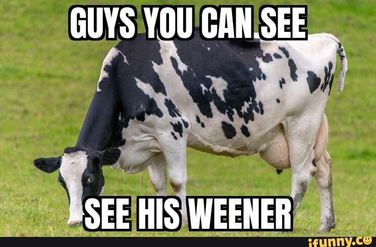 Peenus memes. Best Collection of funny Peenus pictures on iFunny