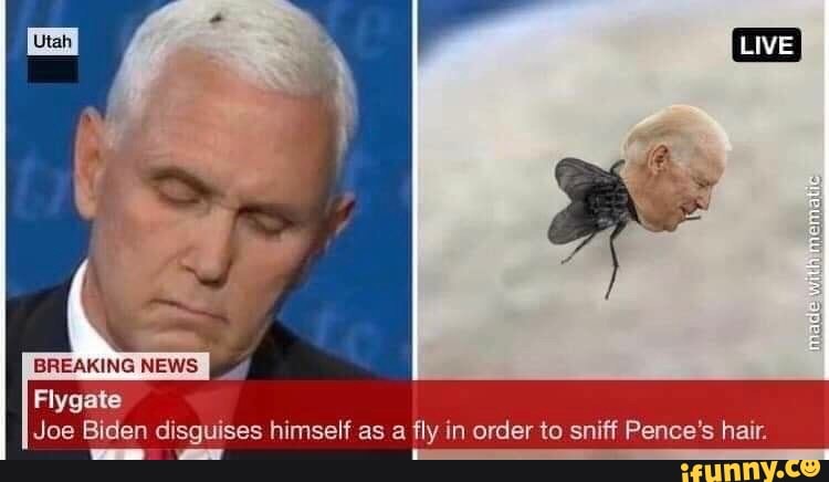 BREAKING NEWS: Flygate Joe Biden disguises himself as a fly in order to ...