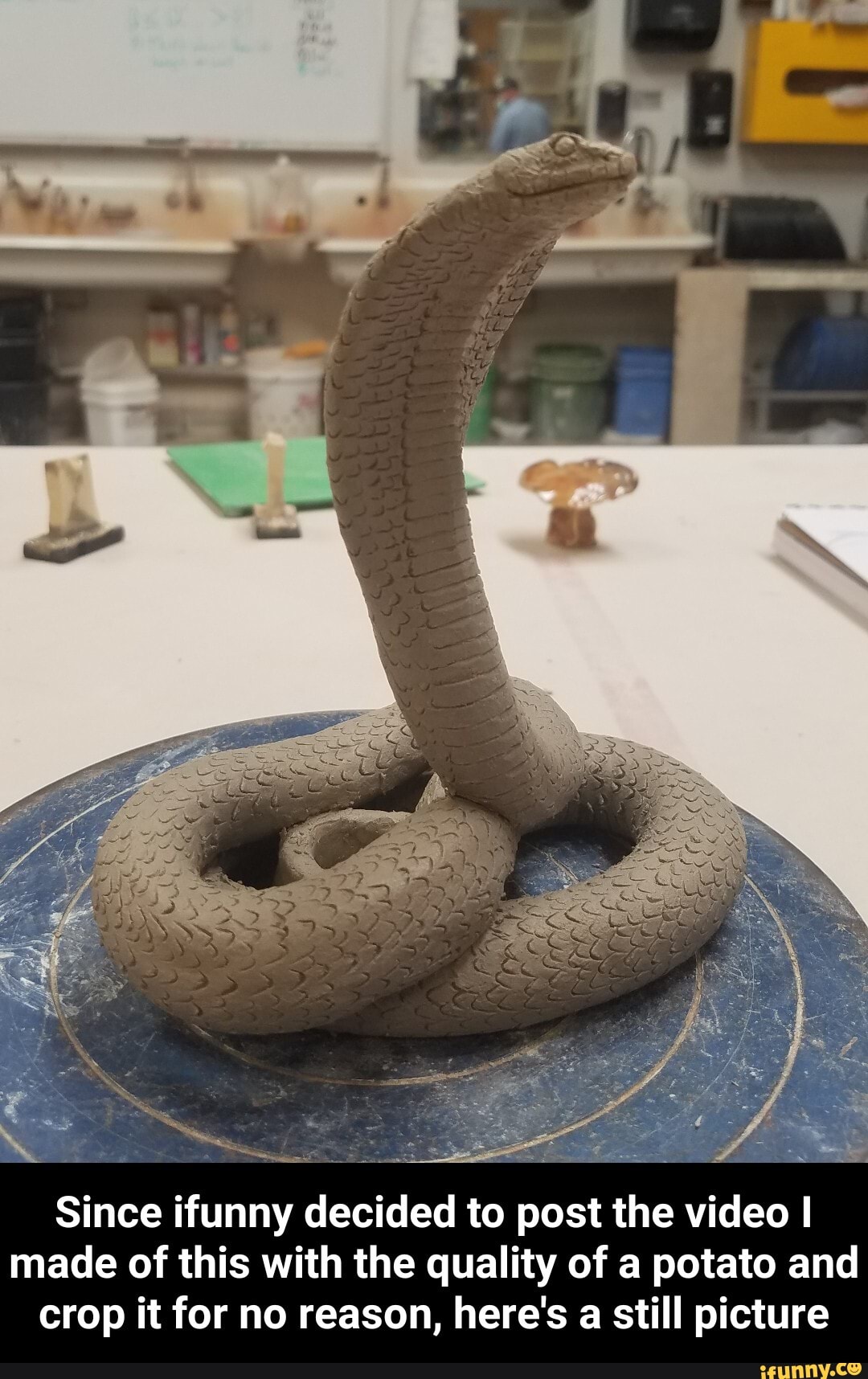 Snakes memes. Best Collection of funny Snakes pictures on iFunny