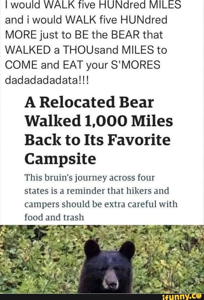 Journey memes. Best Collection of funny Journey pictures on iFunny