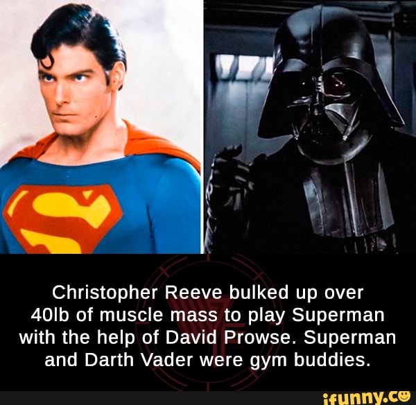 Christopher Reeve bulked up over 40Ib of muscle mass to play Superman ...
