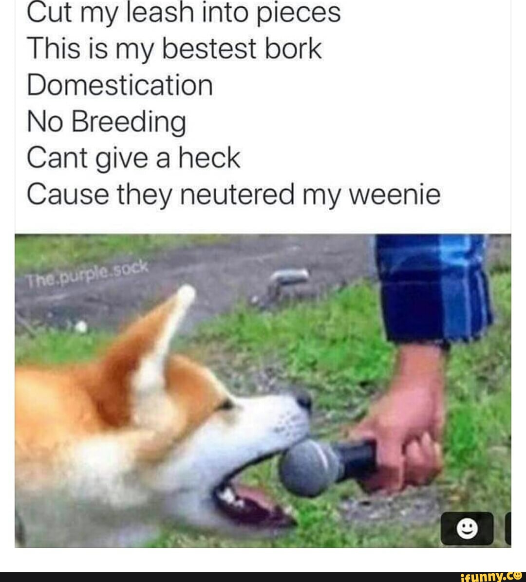 Bork memes. Best Collection of funny Bork pictures on iFunny