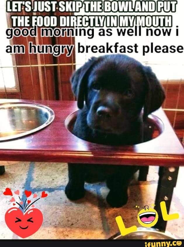 Suus memes. Best Collection of funny Suus pictures on iFunny