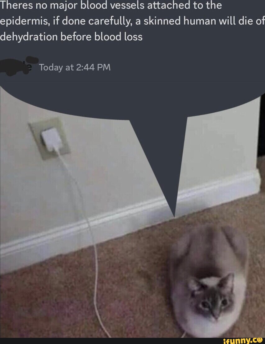 Vessels memes. Best Collection of funny Vessels pictures on iFunny