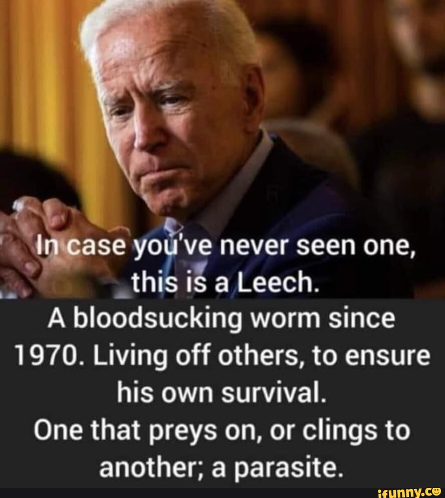 Leech memes. Best Collection of funny Leech pictures on iFunny
