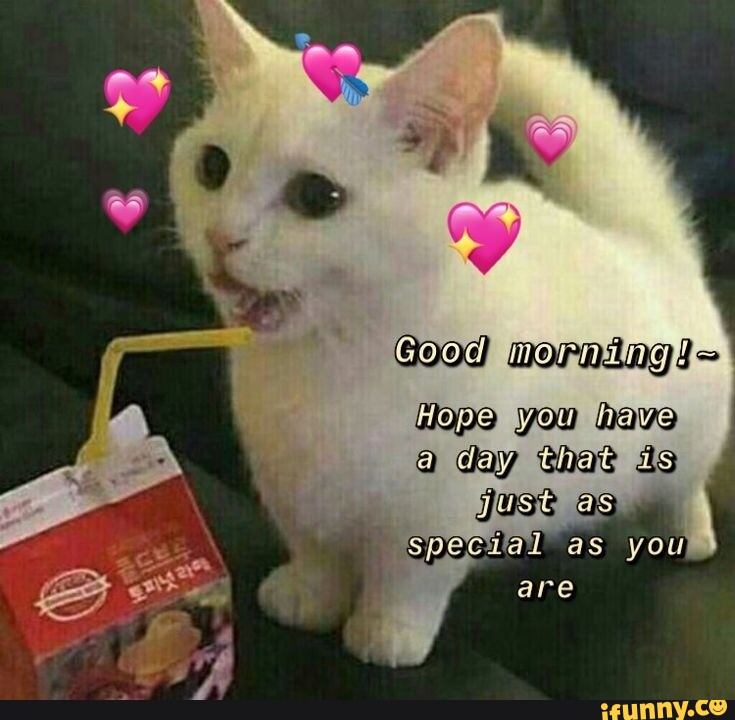 Goodmorningpost memes. Best Collection of funny Goodmorningpost ...