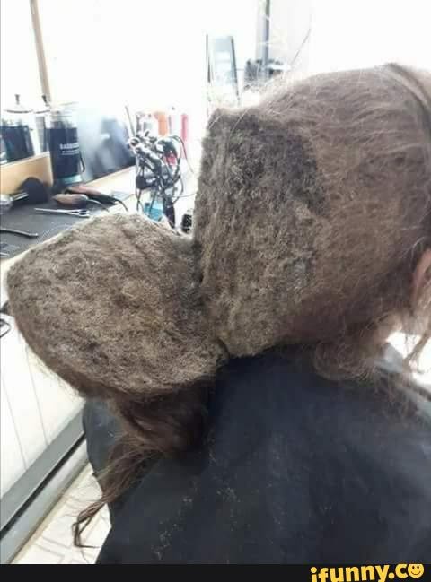 Cursed_hair memes. Best Collection of funny Cursed_hair pictures on iFunny