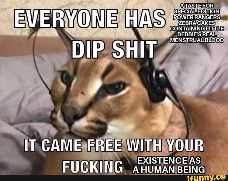 Floppa memes. Best Collection of funny Floppa pictures on iFunny