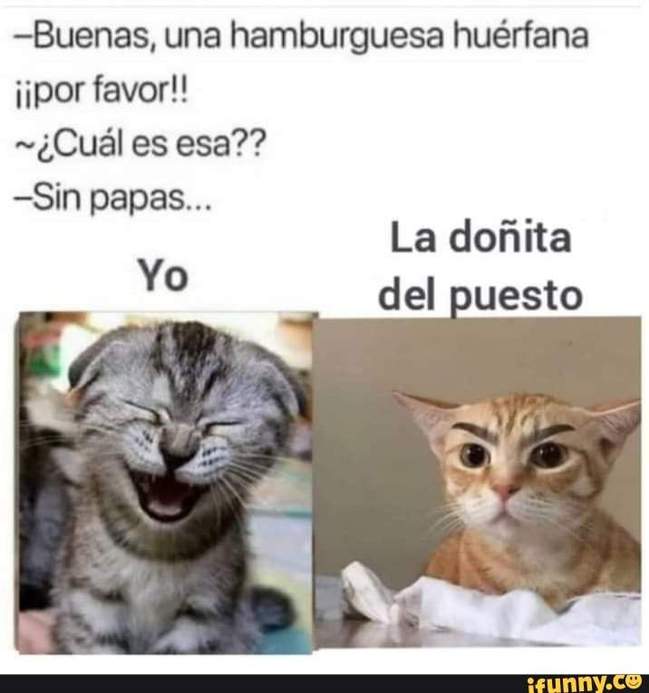 Donita memes. Best Collection of funny Donita pictures on iFunny