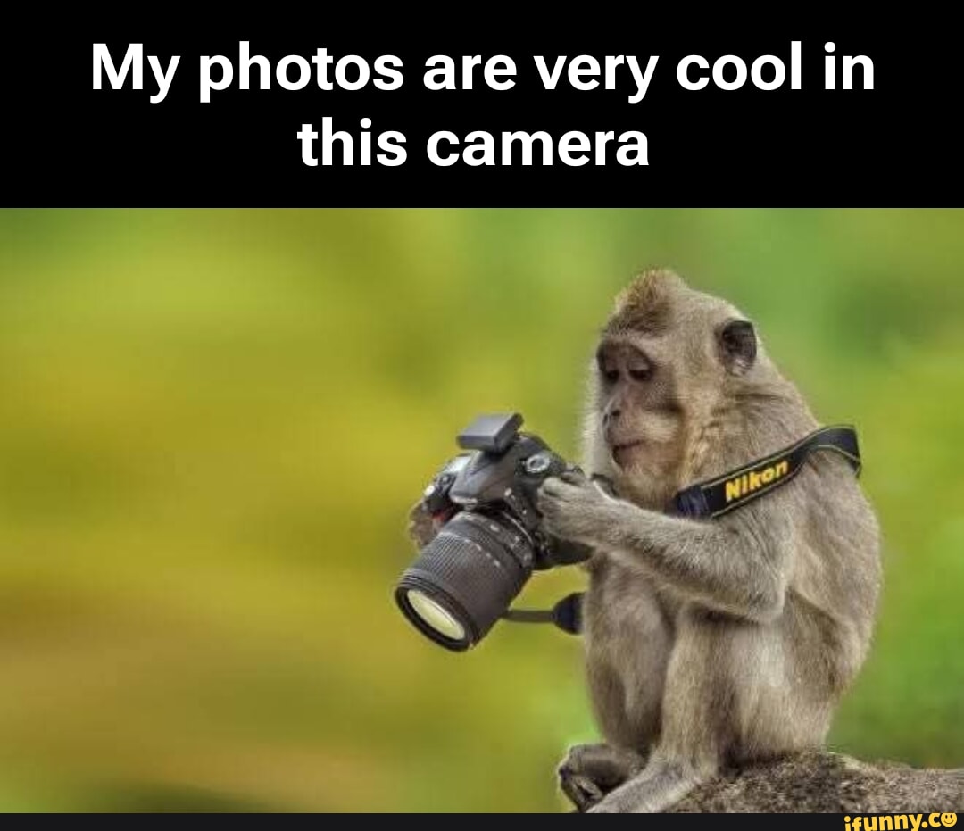 Gopro Selfie Memes