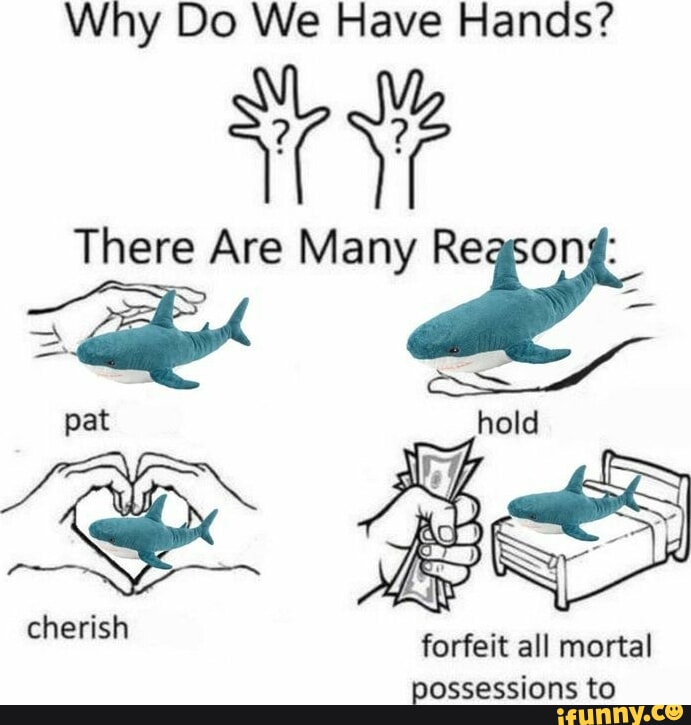 Forfeit memes. Best Collection of funny Forfeit pictures on iFunny