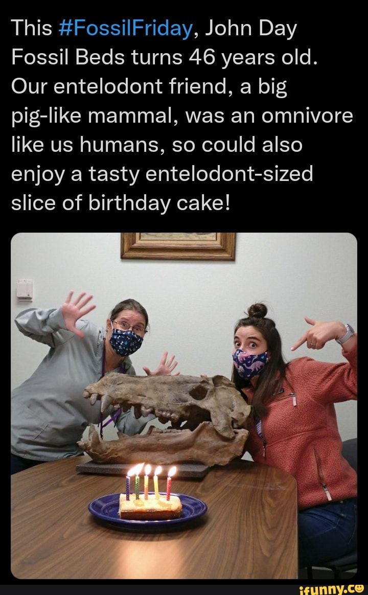 Entelodont memes. Best Collection of funny Entelodont pictures on iFunny