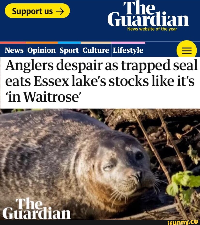 Waitrose memes. Best Collection of funny Waitrose pictures on iFunny