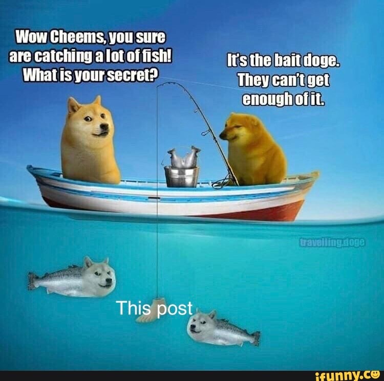 Wow Cheems, you sure are catching a lot of fish! It's the bait doge ...