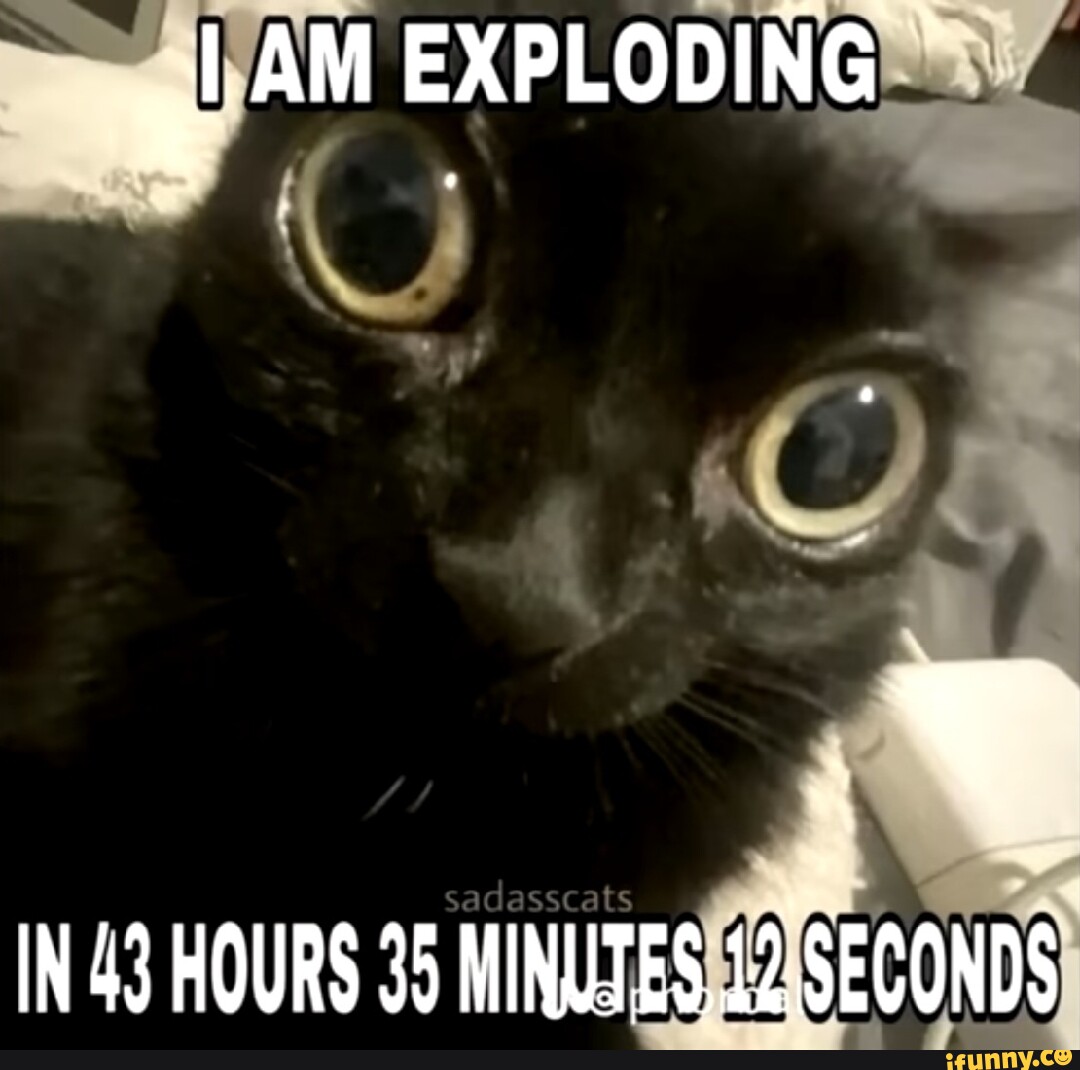 AM EXPLODING IN 43 HOURS 35 MINUTE - iFunny
