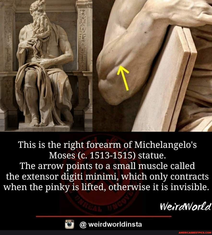 This is the right forearm of Michelangelo's Moses (c. 1513-1515) statue. The arrow points to a ...