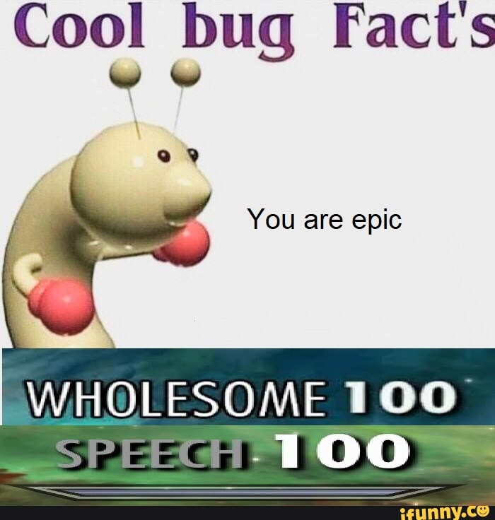 Cool bug facts - Cool bug Facts You are epic WHOLESOME 100 ~SPE EGH ...