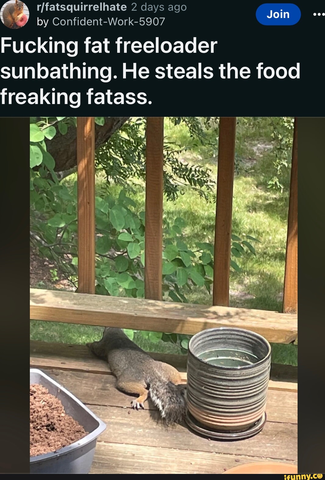 Freeloader memes. Best Collection of funny Freeloader pictures on iFunny