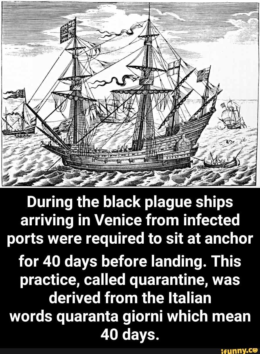 During the black plague ships arriving in Venice from infected ports ...