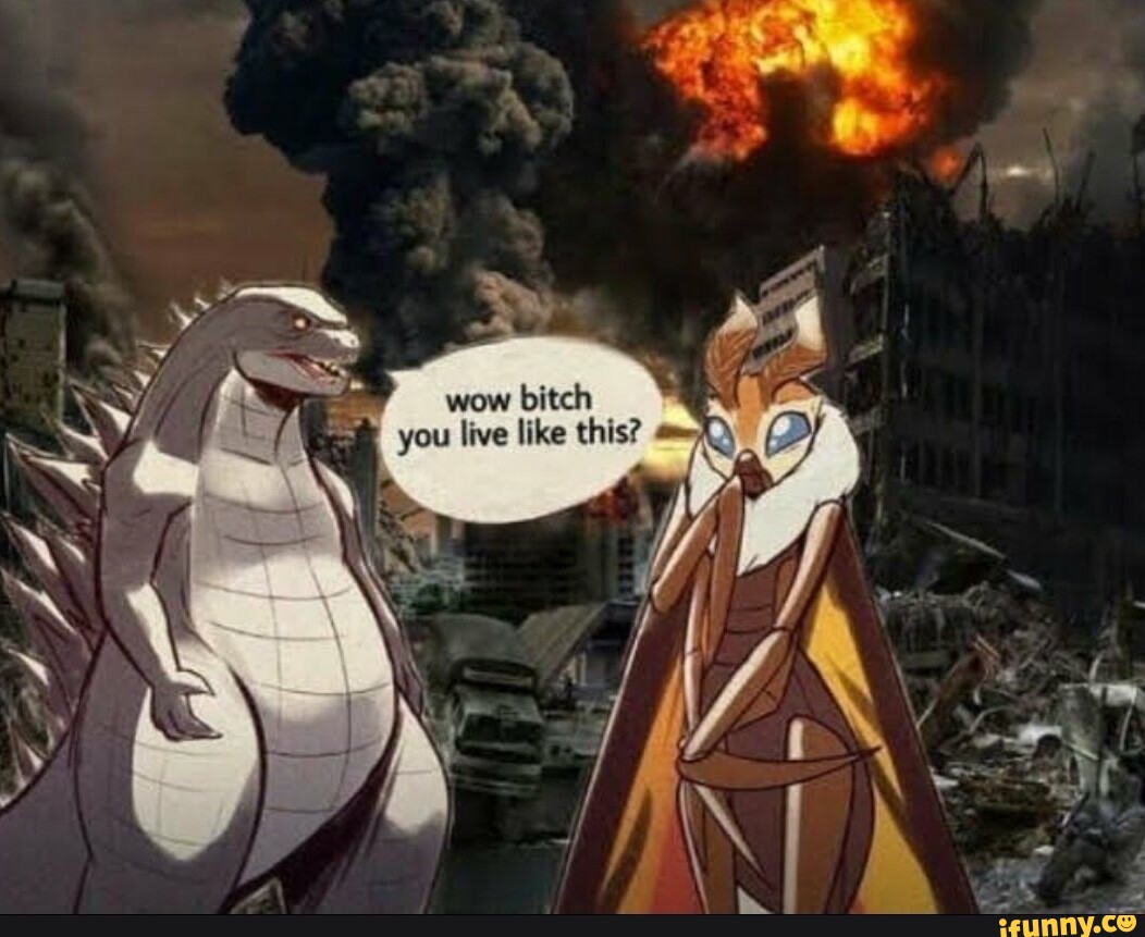 Mothra memes. Best Collection of funny Mothra pictures on iFunny
