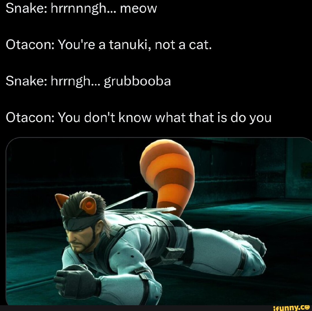 Tanuki memes. Best Collection of funny Tanuki pictures on iFunny