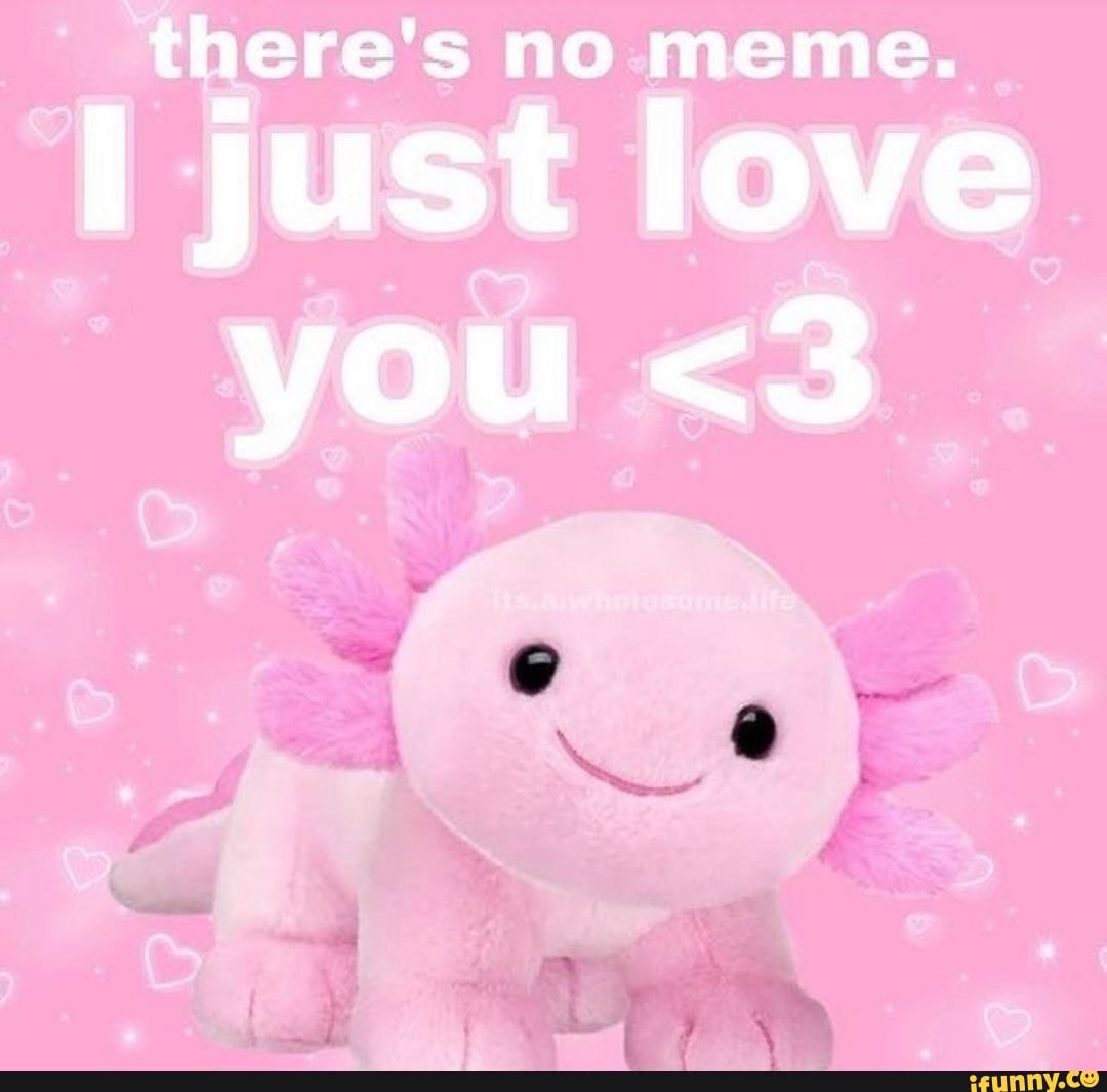 There's no meme. just no love -meme. you
