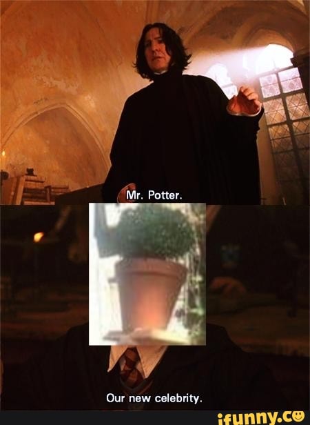 Mr. Potter. Our new celebrity. - iFunny