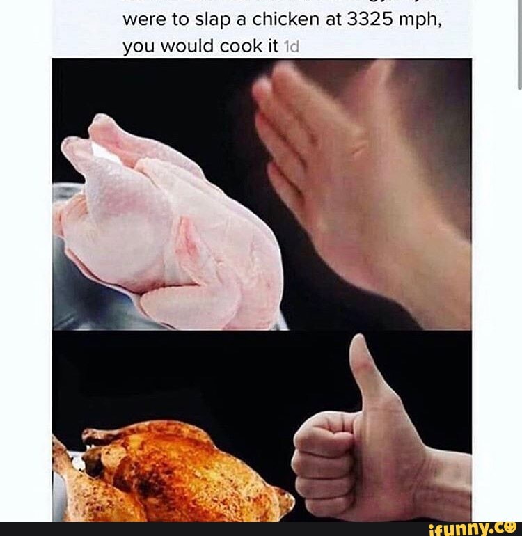 Were to slap a chicken at 3325 mph, you would cook it - iFunny