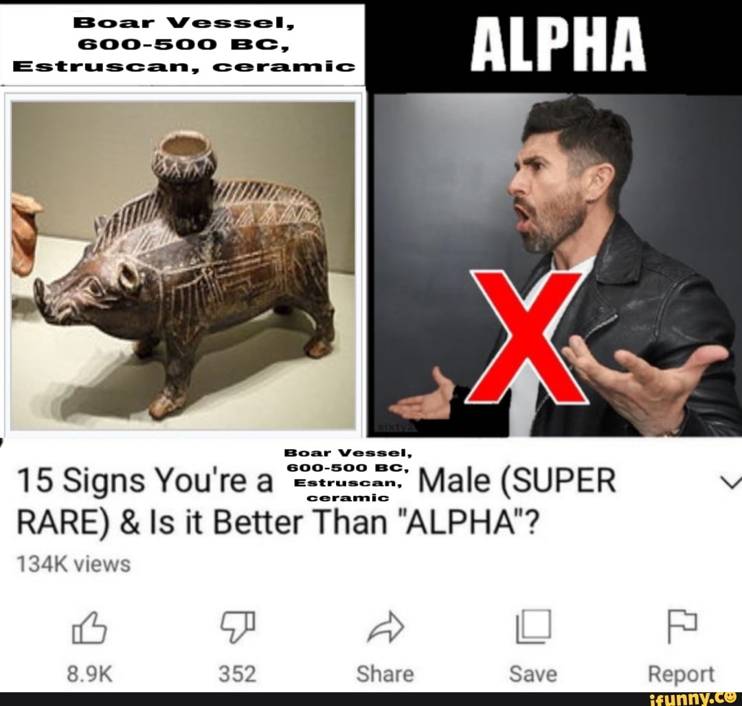 Boar memes. Best Collection of funny Boar pictures on iFunny