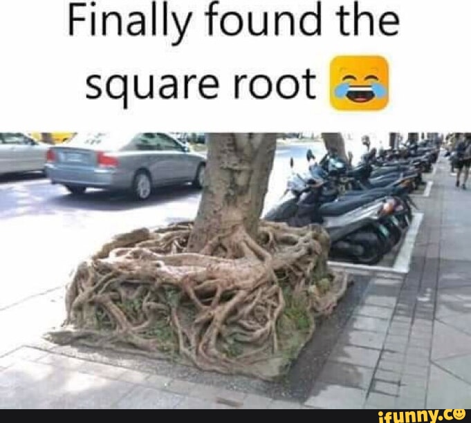 Finally found the square root he - iFunny