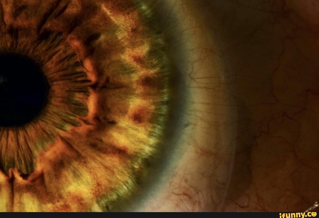 Macro_photography memes. Best Collection of funny Macro_photography ...