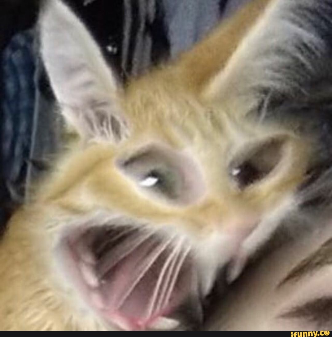 Picture memes XBveSV3H9 by BobbyBlabby_CKY - iFunny Brazil